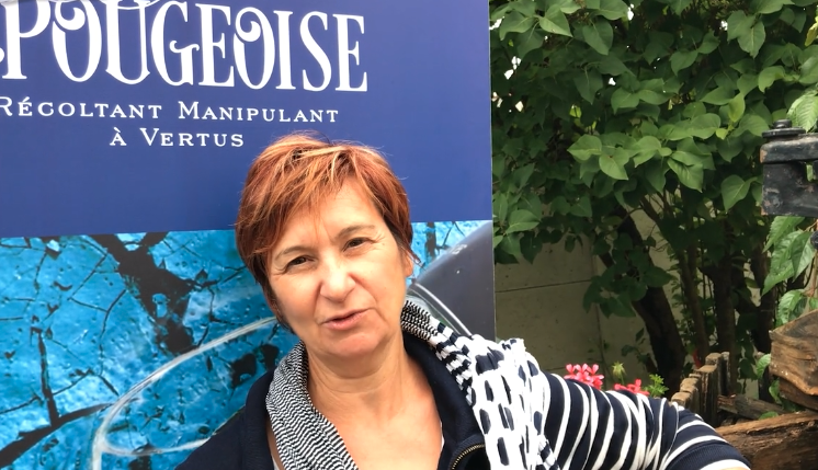 #1084 les champagnes POUGEOISE ! (archive) – LEBLOG2ROUBAIX.COM